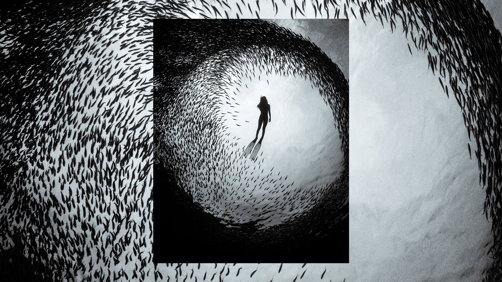 Join Tacio Bautista in a Creative Journey! – Sanghinga